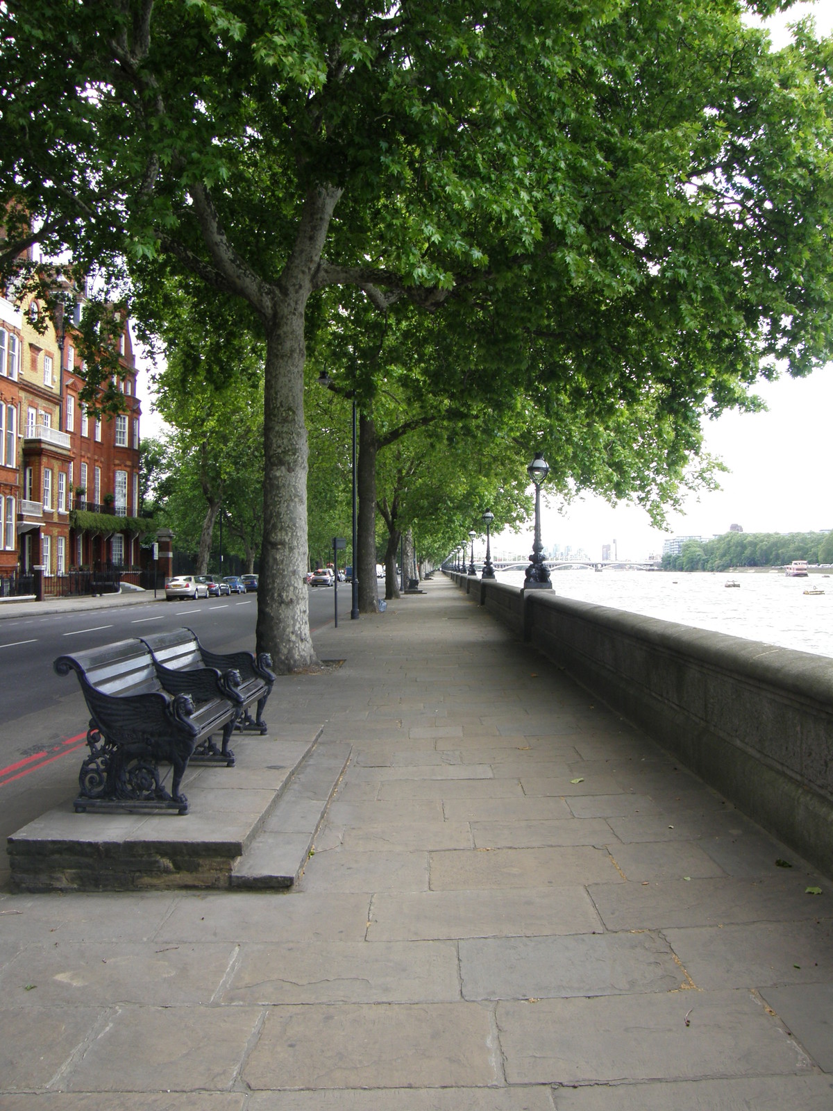 Chelsea Embankment - A Picture from Turnham Green to Victoria, District ...