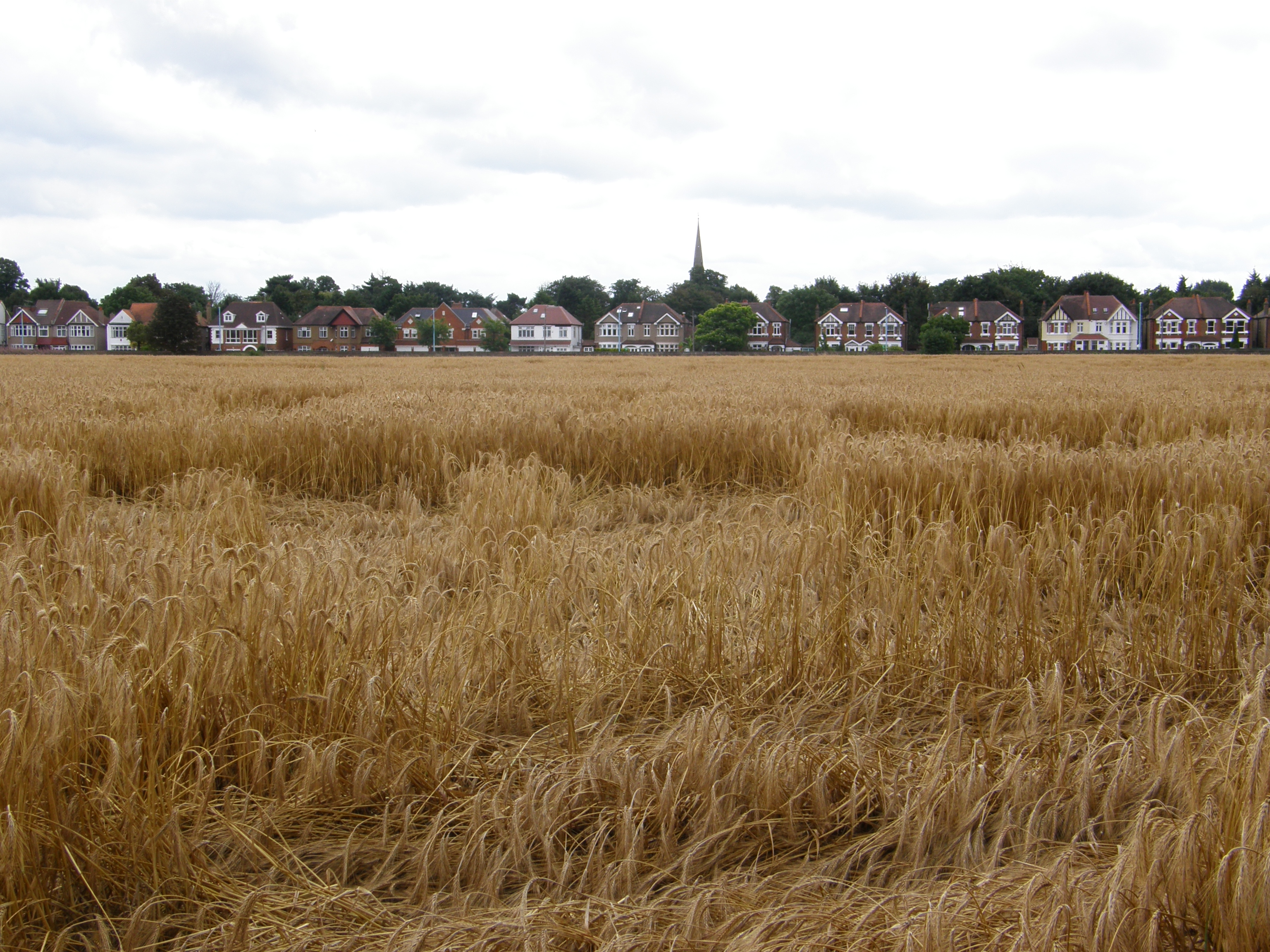 Osterley Park - A Picture from Hatton Cross to Boston Manor, Piccadilly ...